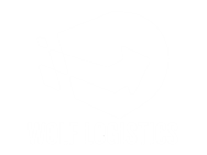 Schnelle Logistiklösungen – Wolf Logistics 24/7